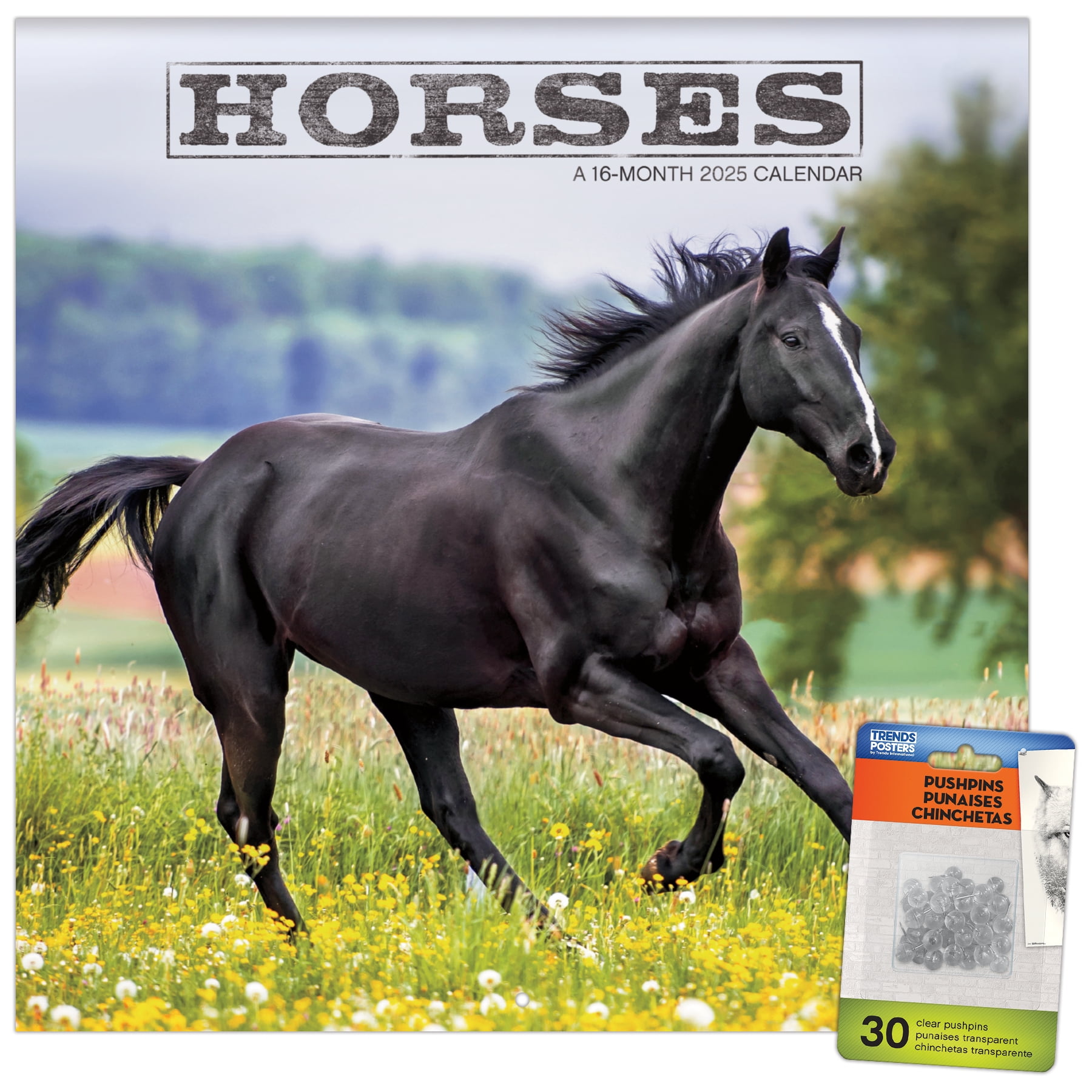 Trends International 2025 Horses Wall Calendar & Push Pins - Walmart.com