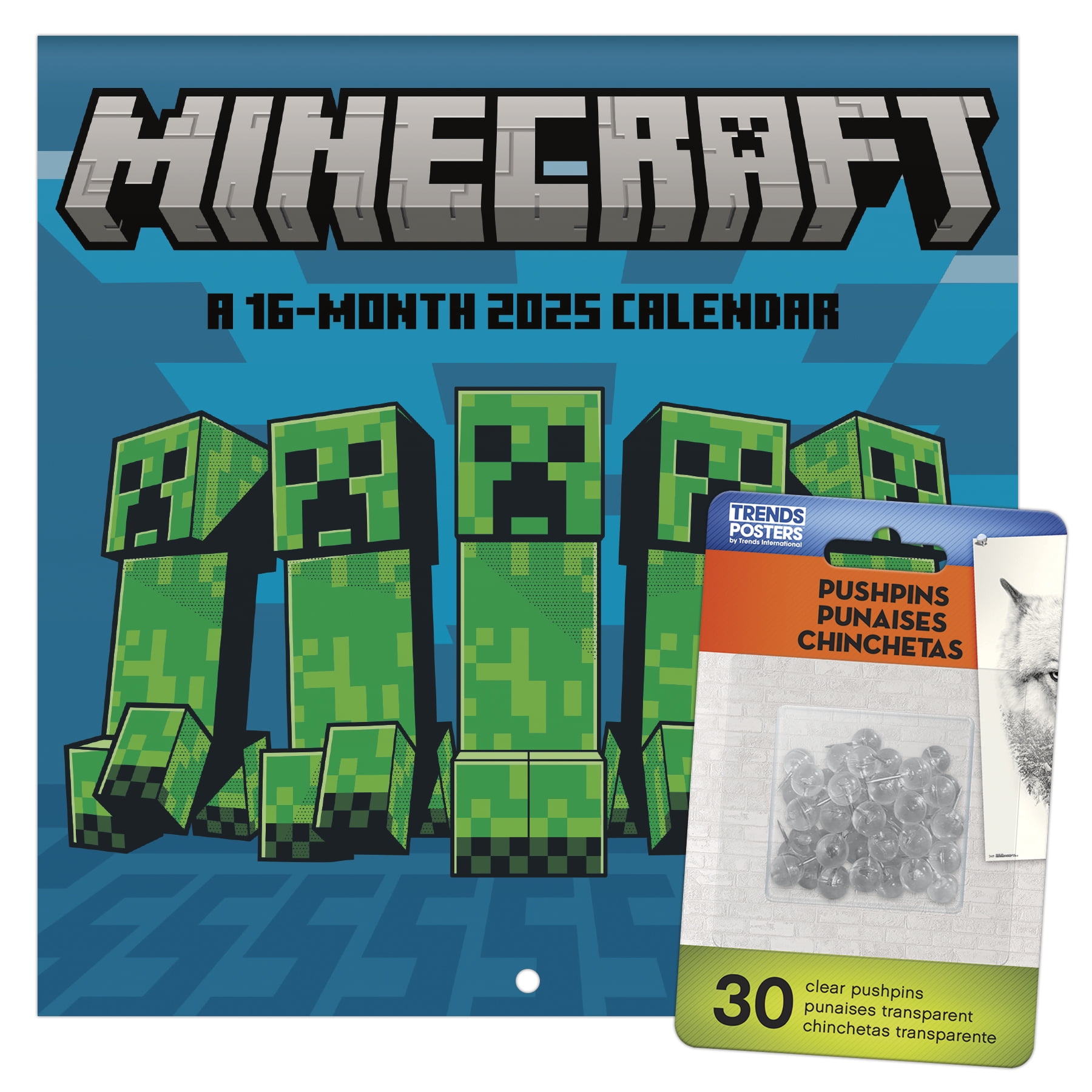 Trends International 2025 Minecraft Mini Calendar & Push Pins - Walmart.com