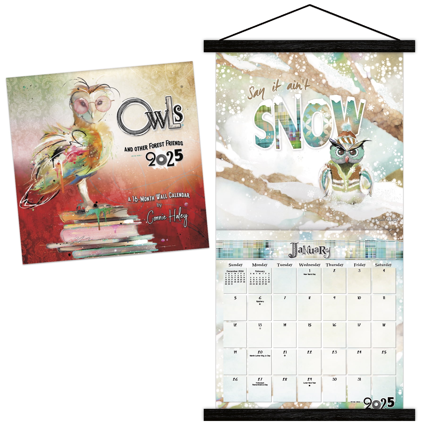 Trends International 2025 Owls - Connie Haley Wall Calendar & Magnetic ...