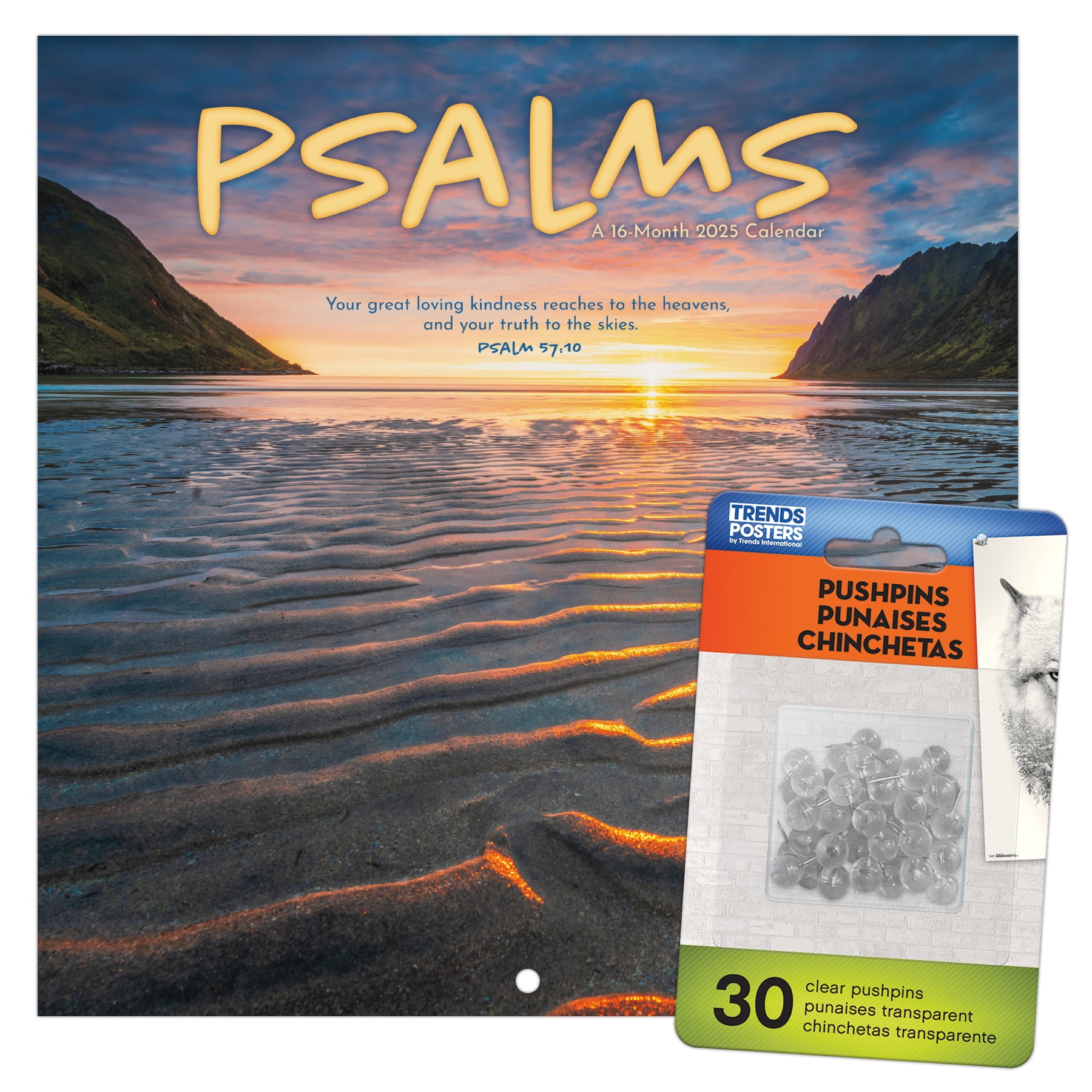 Trends International 2025 Psalms Mini Calendar & Push Pins - Walmart.com