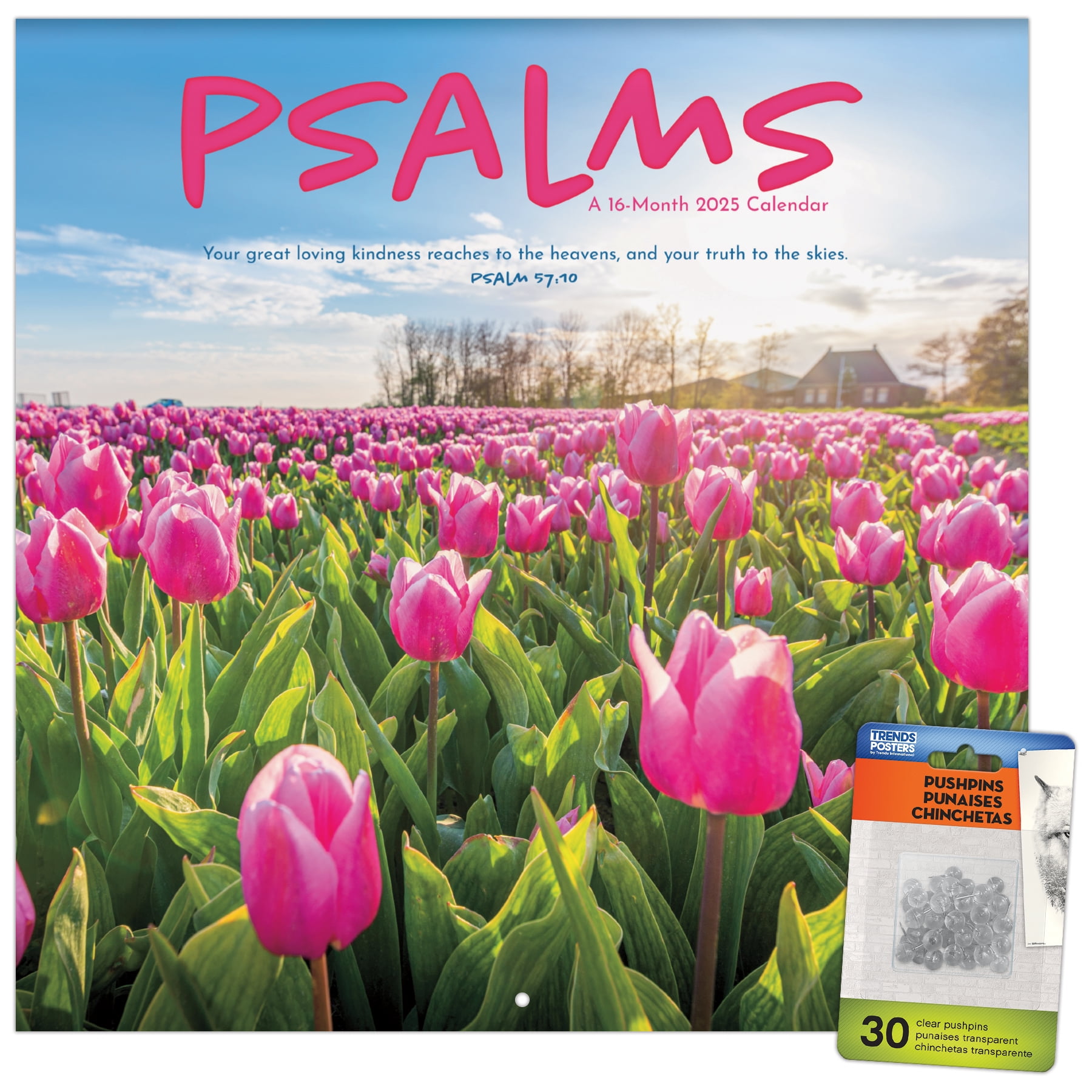 Trends International 2025 Psalms Wall Calendar & Push Pins - Walmart.com