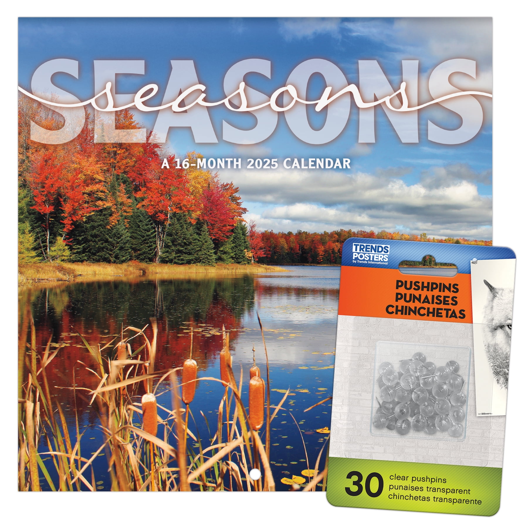 Trends International 2025 Seasons Mini Calendar & Push Pins - Walmart.com