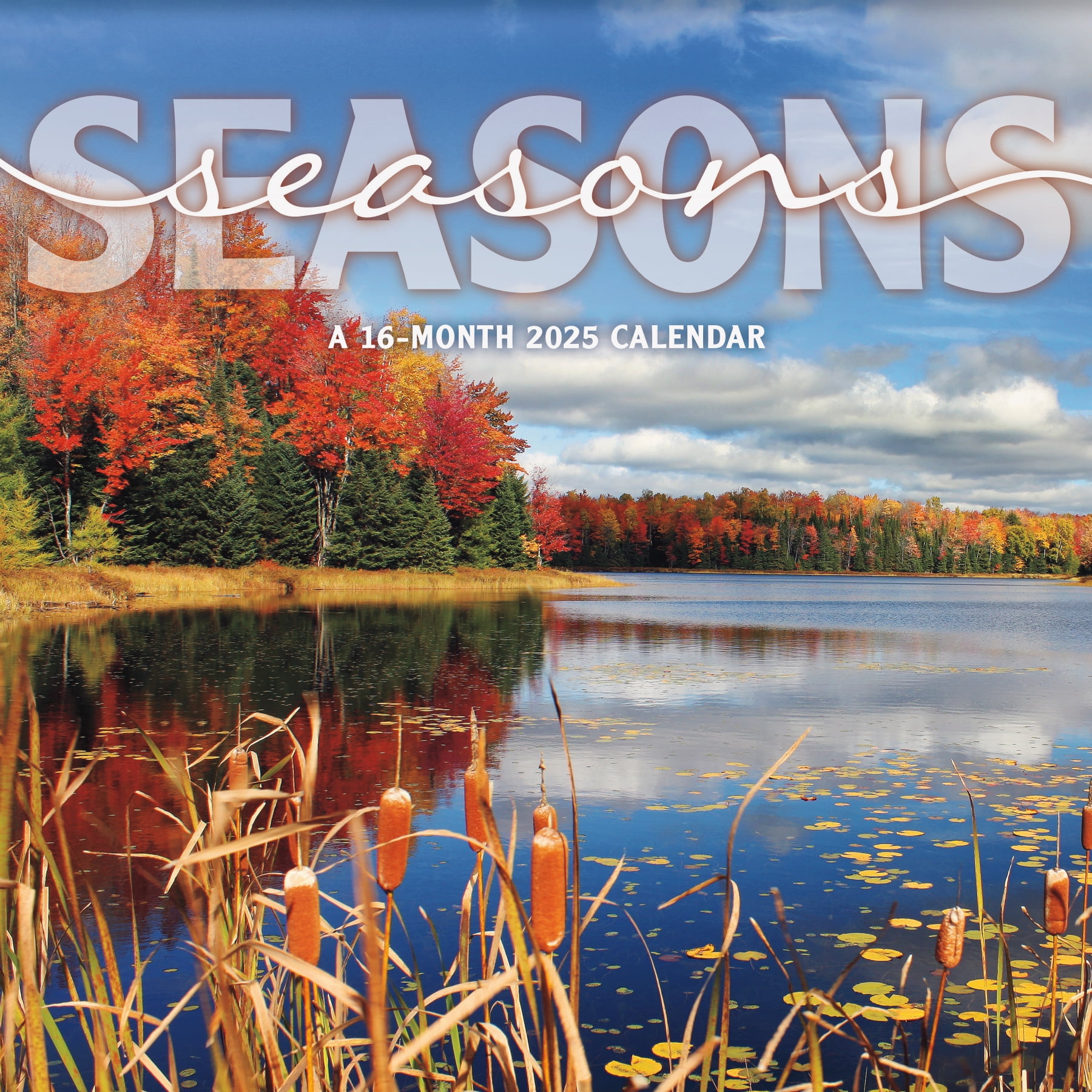 Trends International 2025 Seasons Mini Wall Calendar - Walmart.com