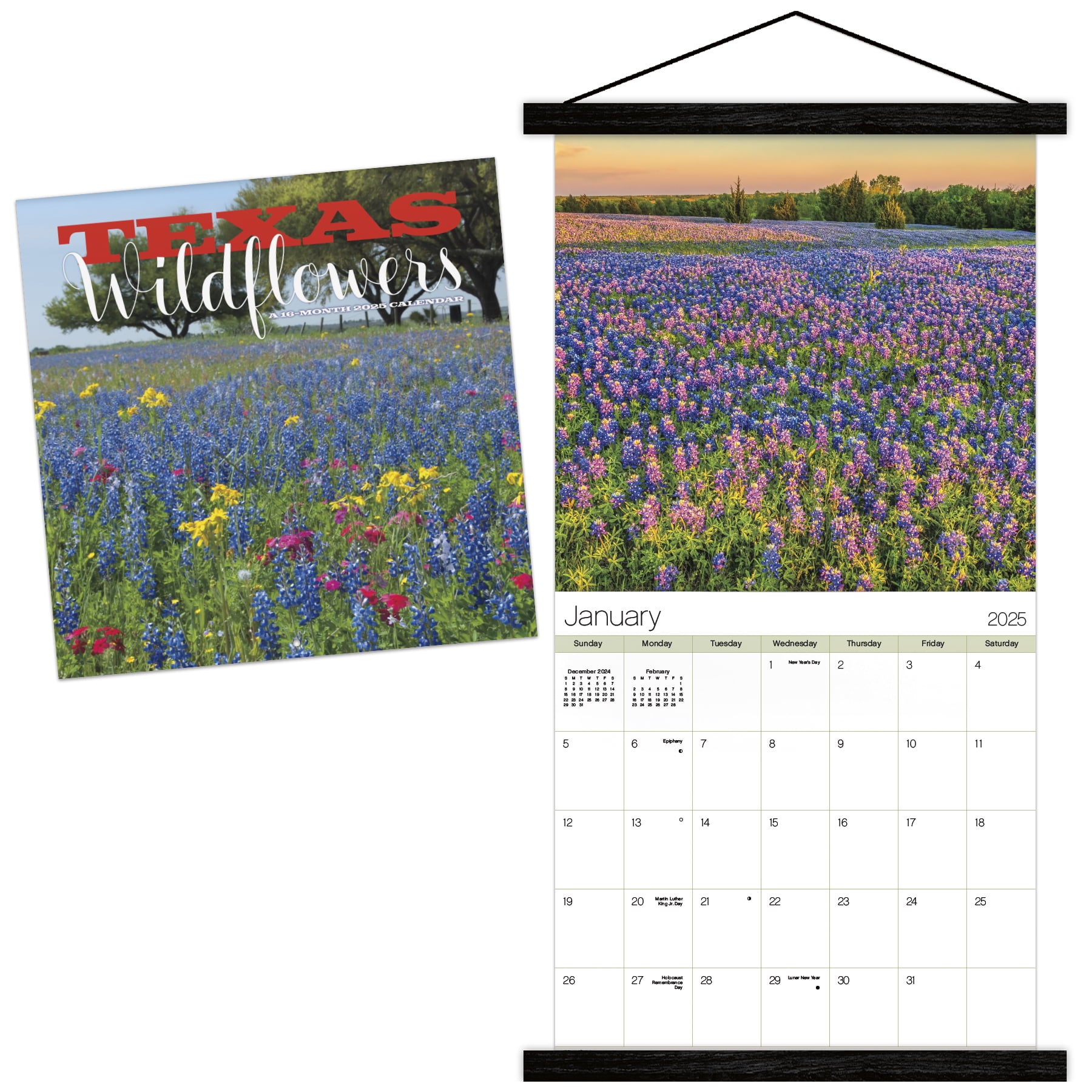 Trends International 2025 Texas Wildflowers Wall Calendar & Magnetic ...