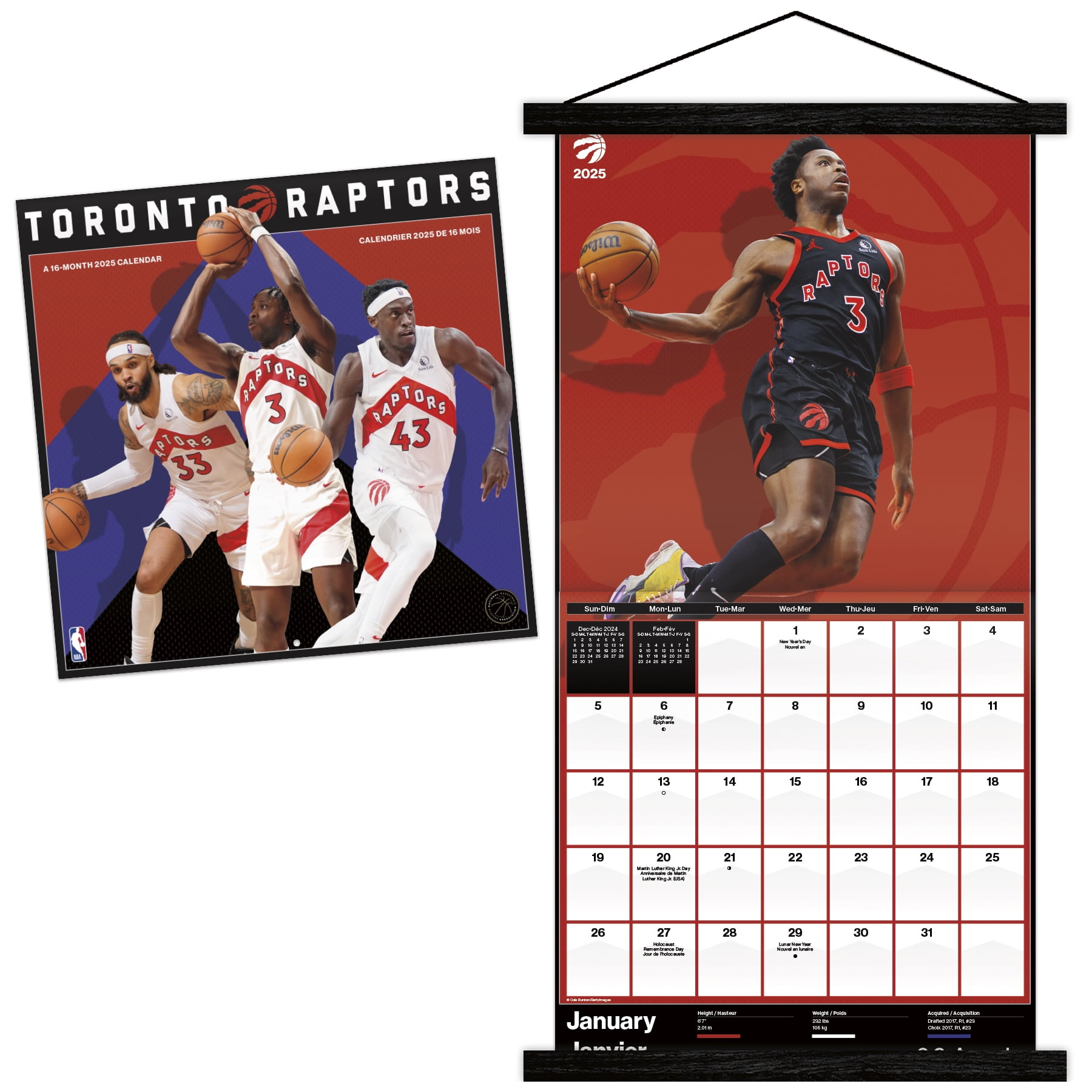 Trends International 2025 Toronto Raptors Wall Calendar & Magnetic ...