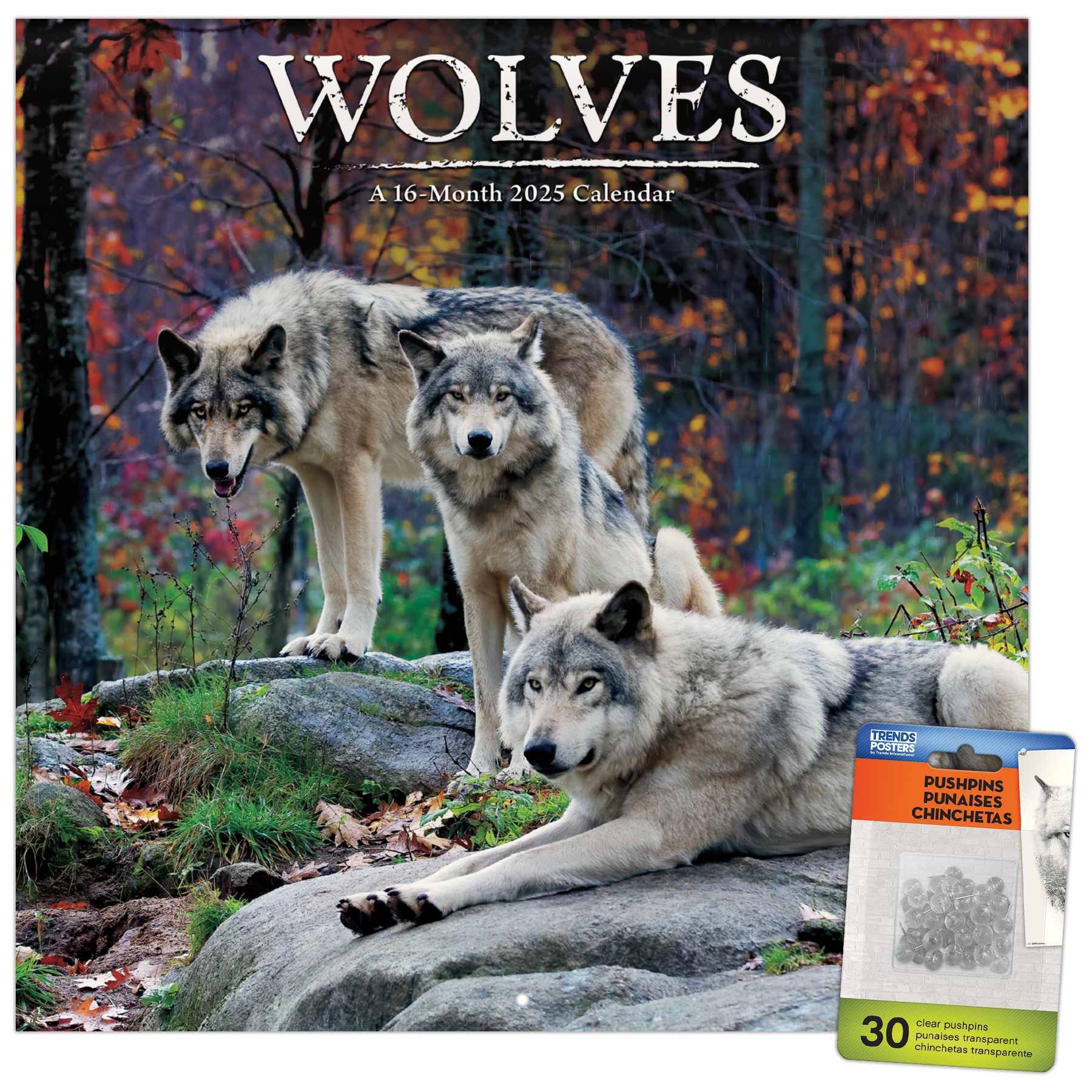Trends International 2025 Wolves Wall Calendar & Push Pins - Walmart.com