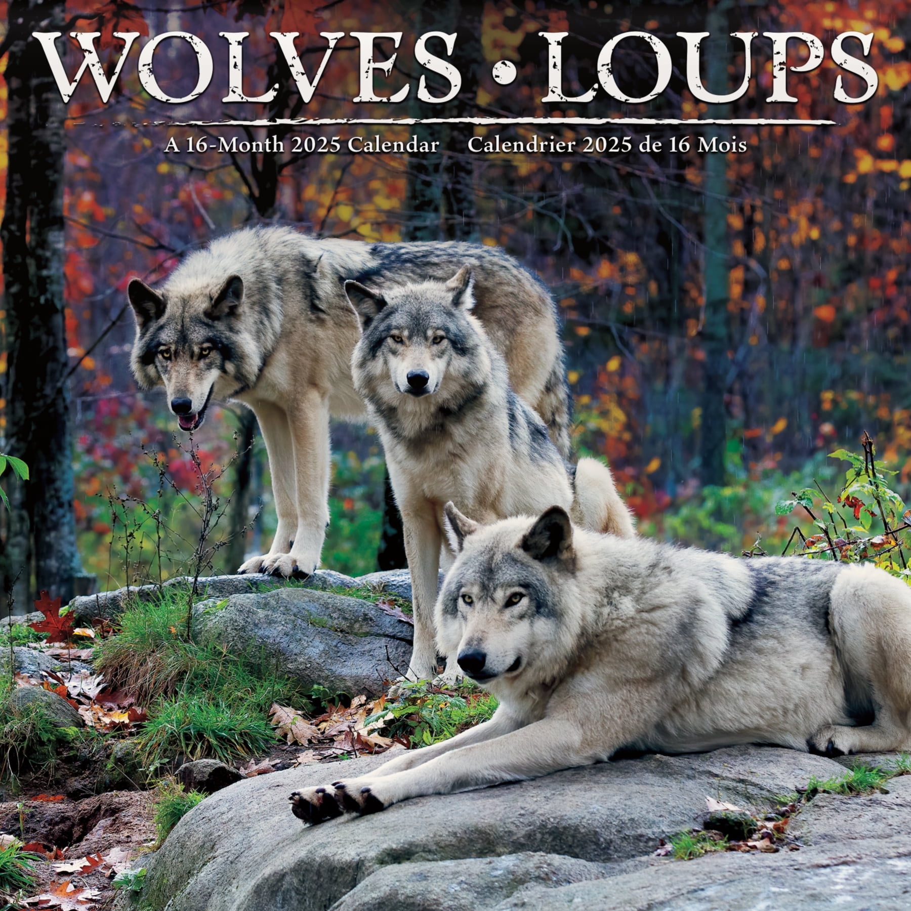 Trends International 2025 Wolves Wall Calendar - Walmart.com