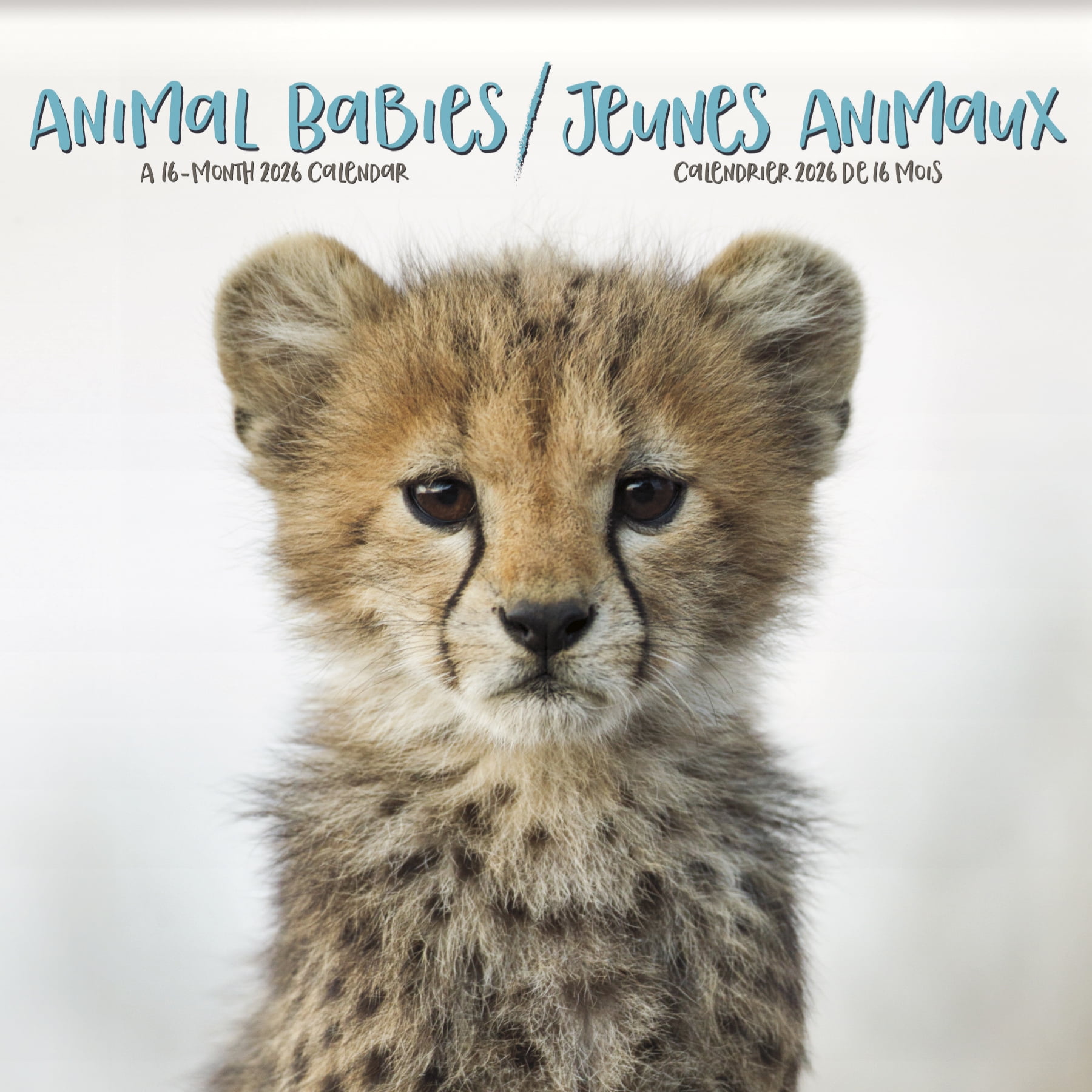 Trends International 2026 Animal Babies (Bilingual French) Wall ...