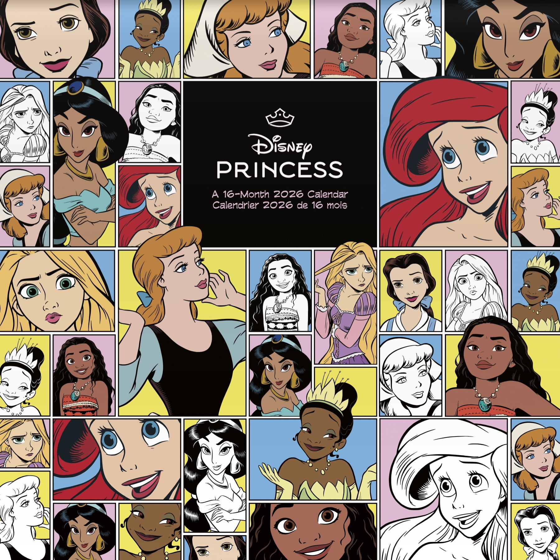 Trends International 2026 Disney Princess (Bilingual French) Wall ...