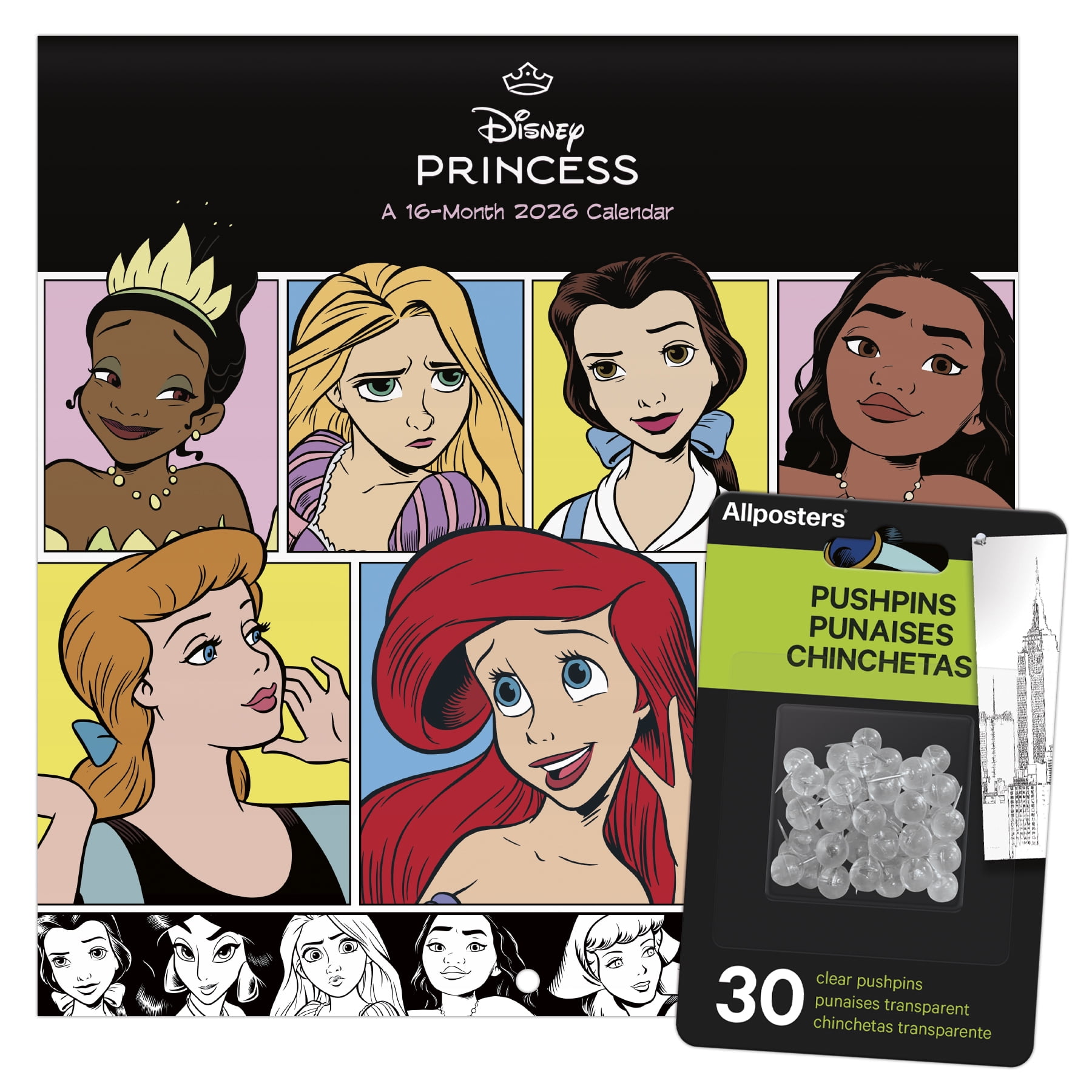 Trends International 2026 Disney Princess Mini Wall Calendar & Push ...