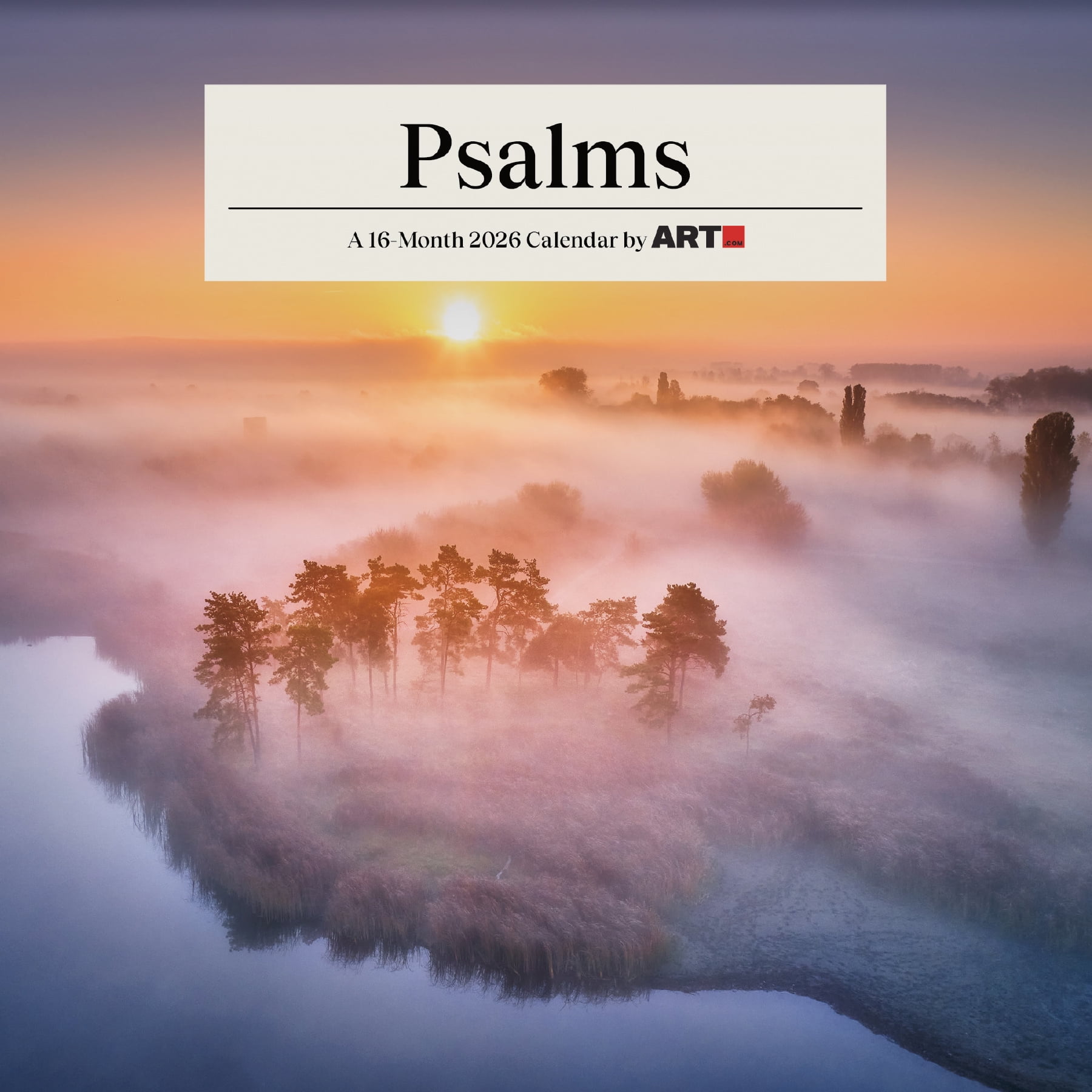 Trends International 2026 Psalms Mini Wall Calendar - Walmart.com