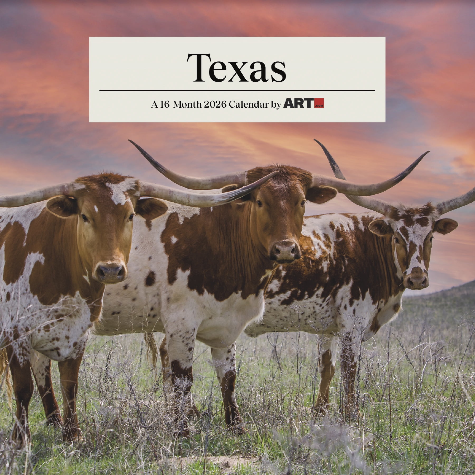 Trends International 2026 Texas Mini Wall Calendar - Walmart.com