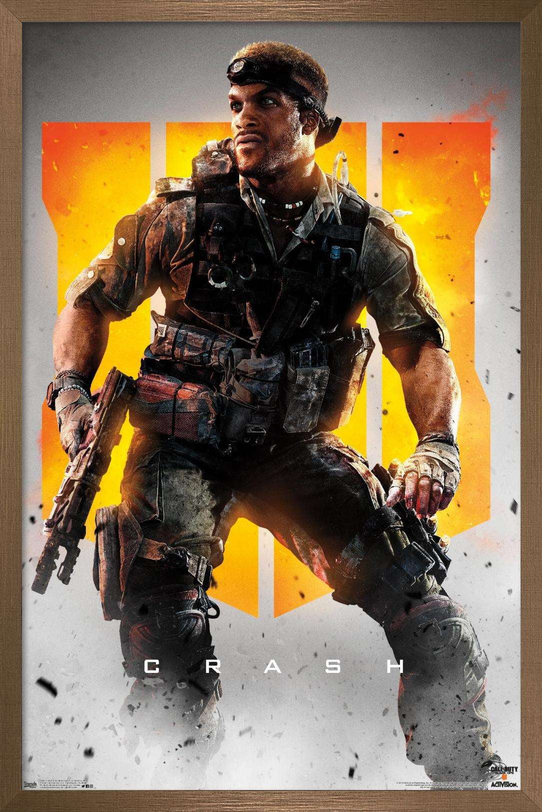 Trends International Call of Duty: Black Ops 4 - Crash Key Art Wall ...