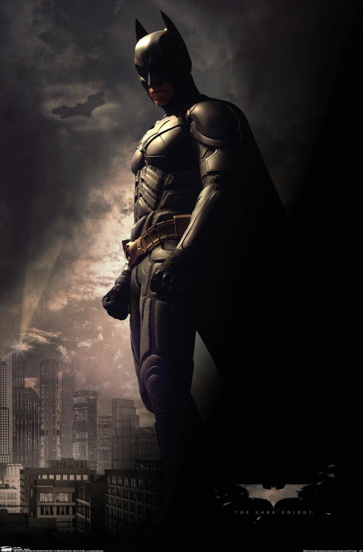 Trends International DC Comics Movie - The Dark Knight - Batman In The ...
