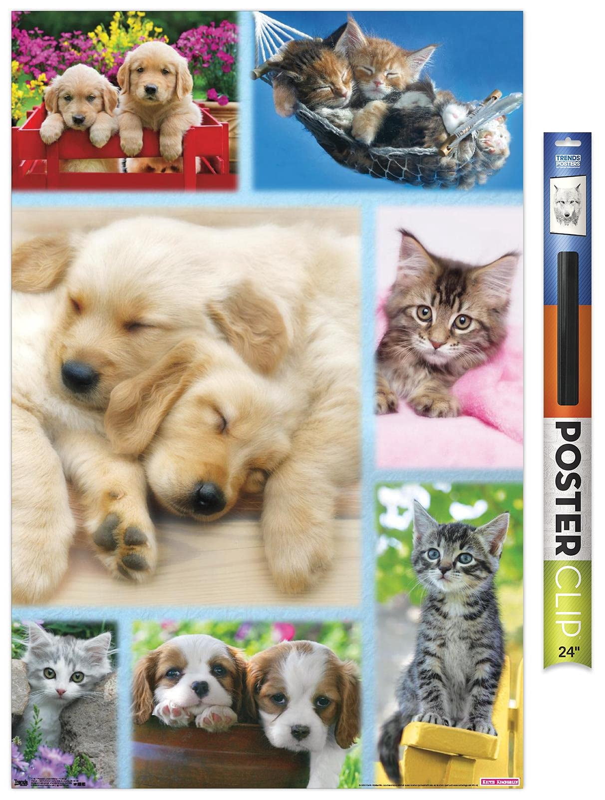 Trends International Keith Kimberlin - Puppies and Kittens Collage Wall ...