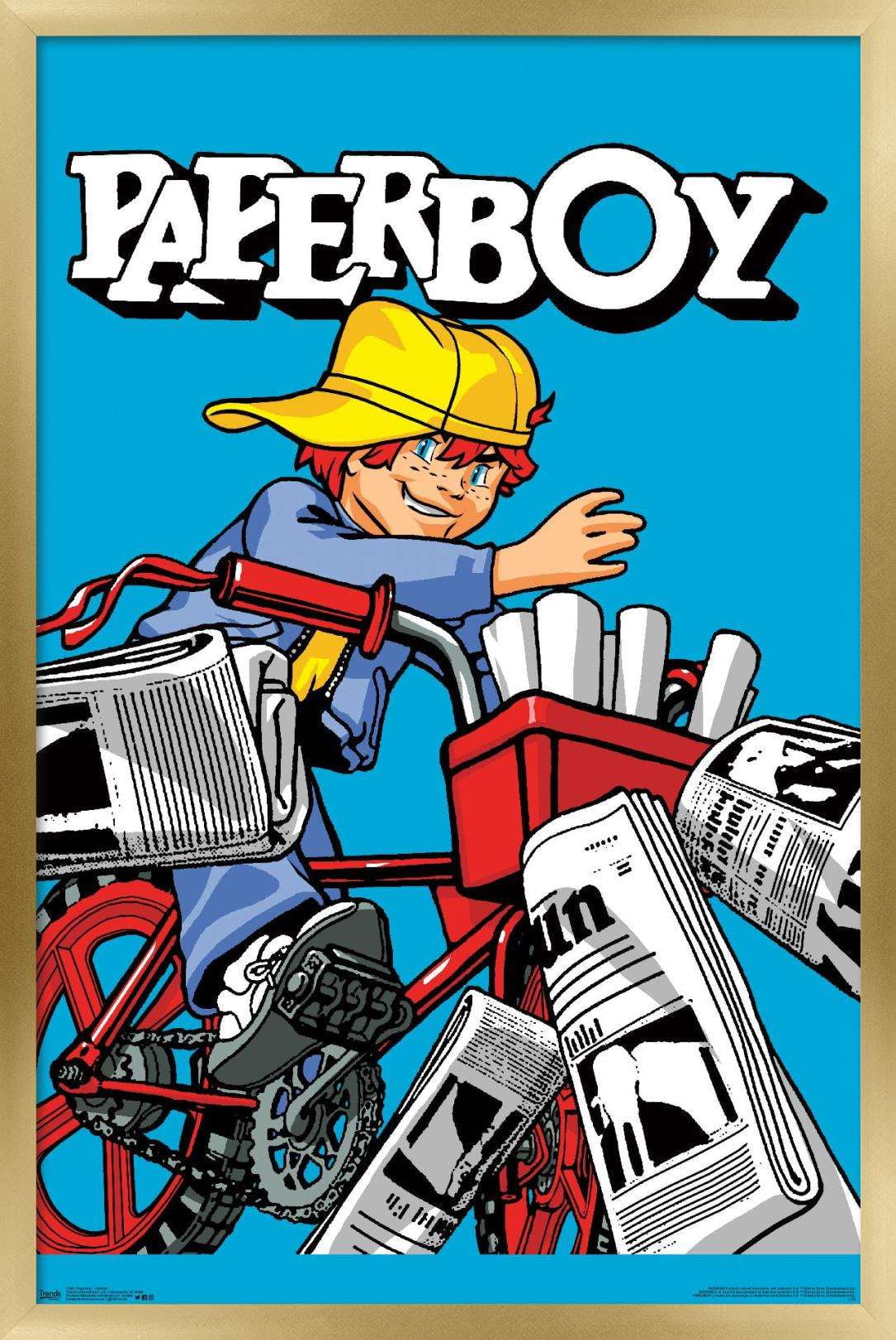 The Paperboy Poster