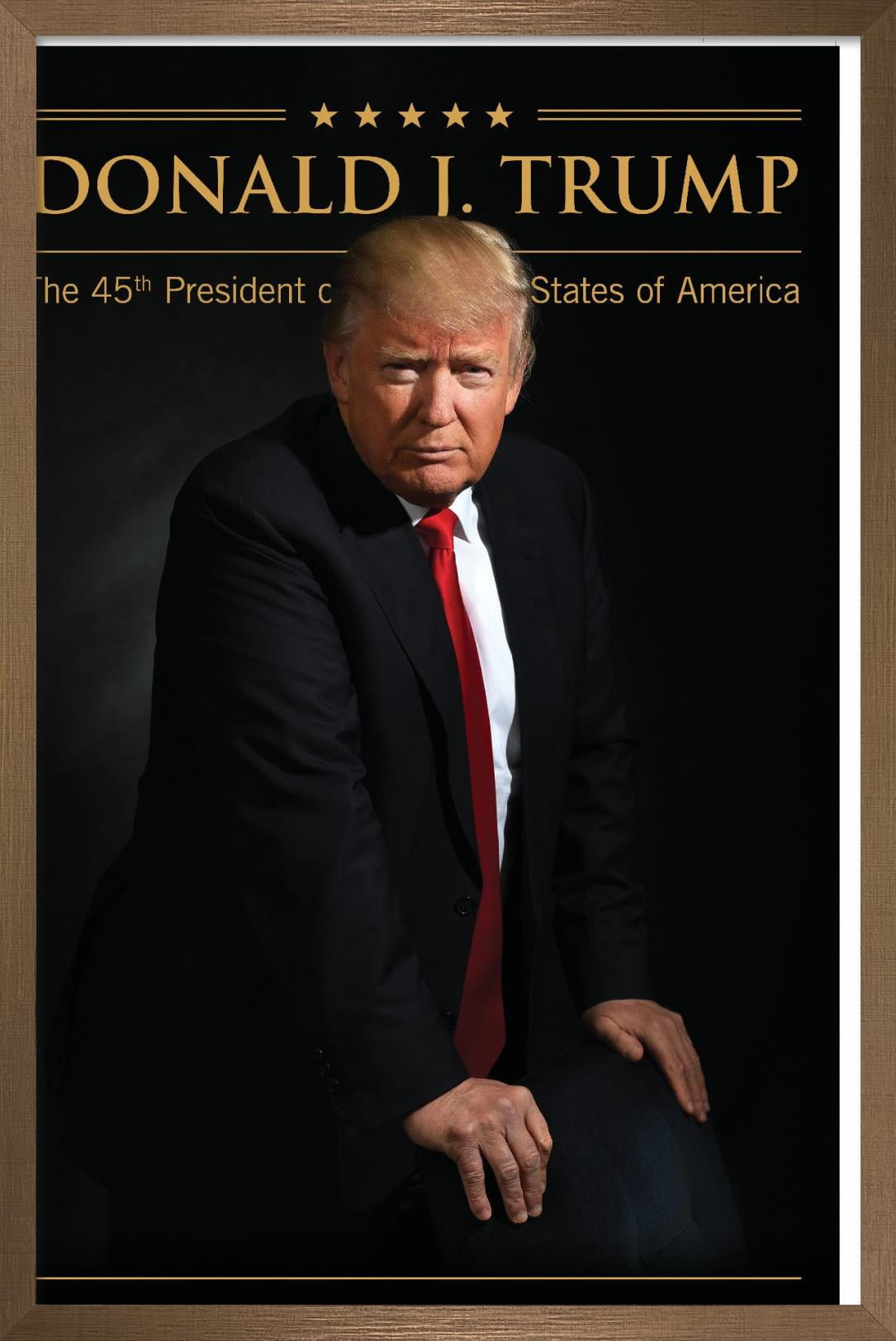 Trends International President Donald Trump Wall Poster 16.5" x 24.25 ...