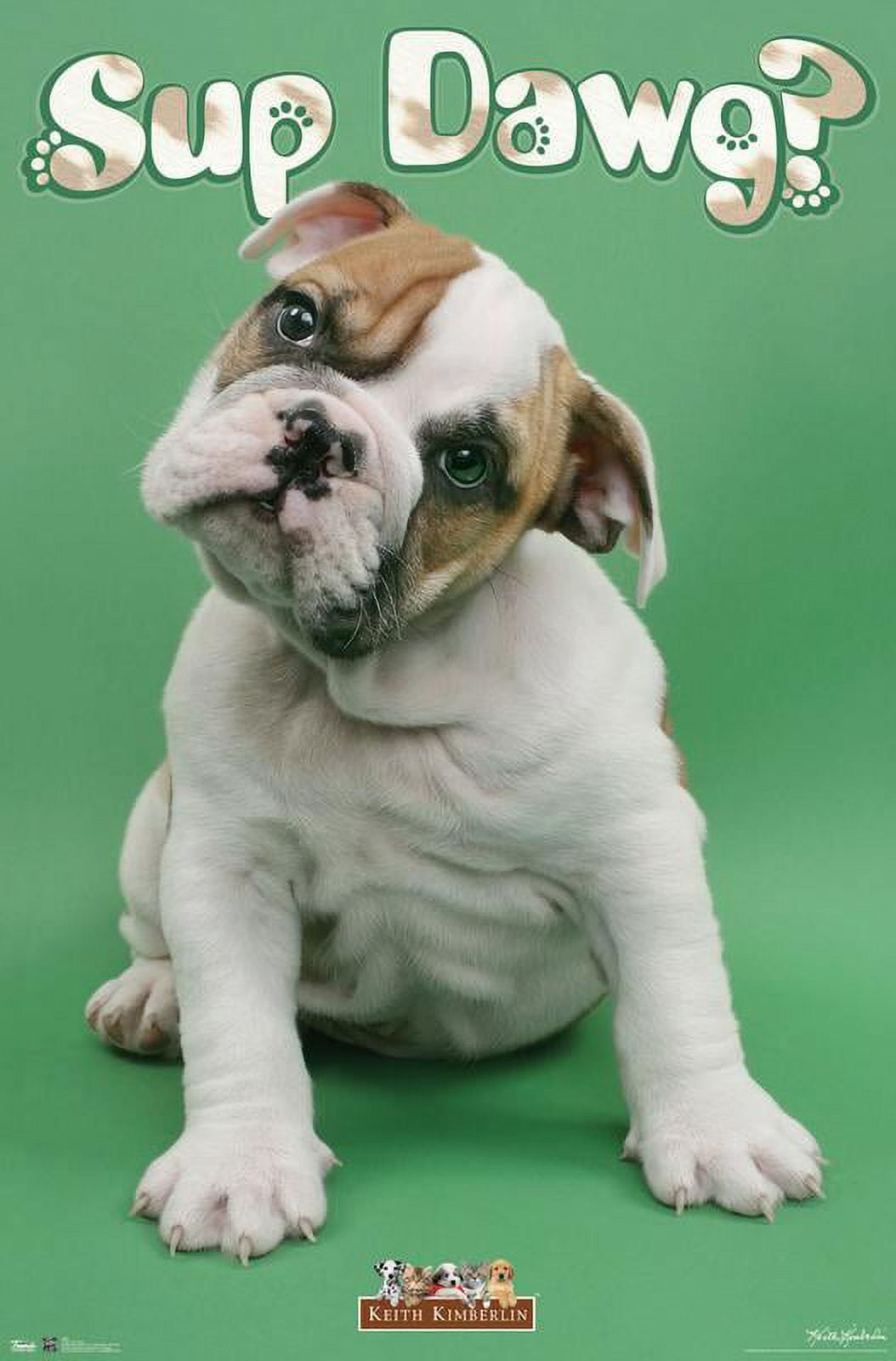 Trends International Puppy - Sup Dawg Poster - Walmart.com