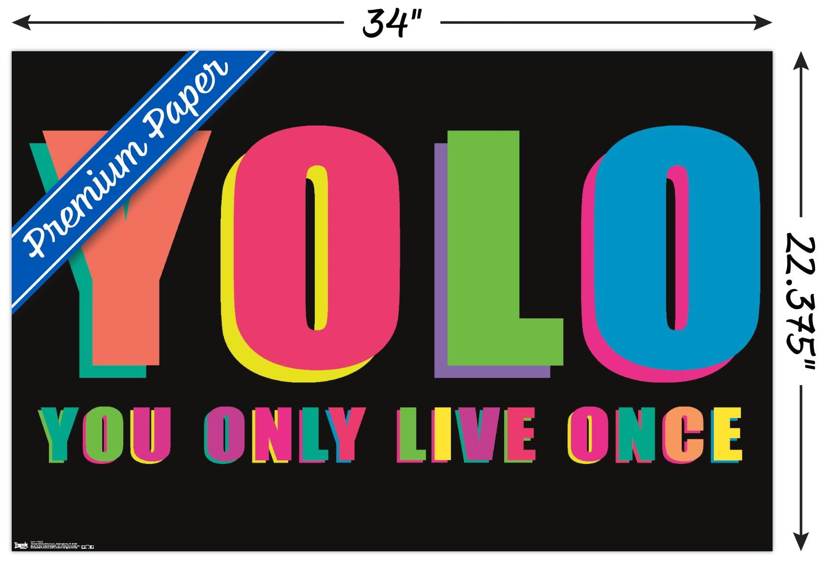 Trends International YOLO Wall Poster 22.375" x 34" Premium Poster ...