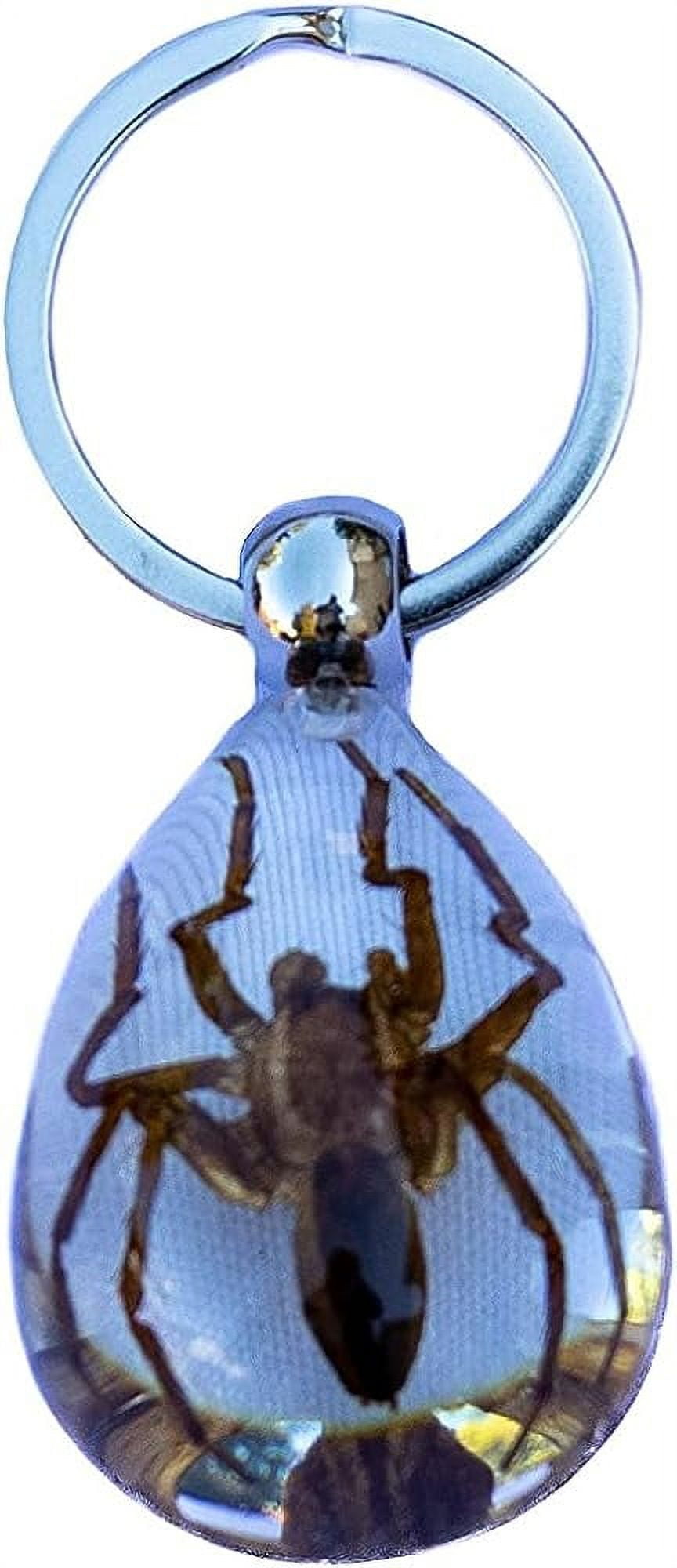 Trendy Zone 21 Keychain with Brown Spider Resin Key Ring| Key Chain ...