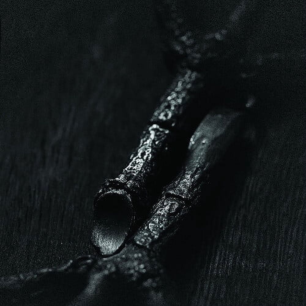 Trepaneringsritualen - Algir eller Algir i Merkstave - Rock - Vinyl ...