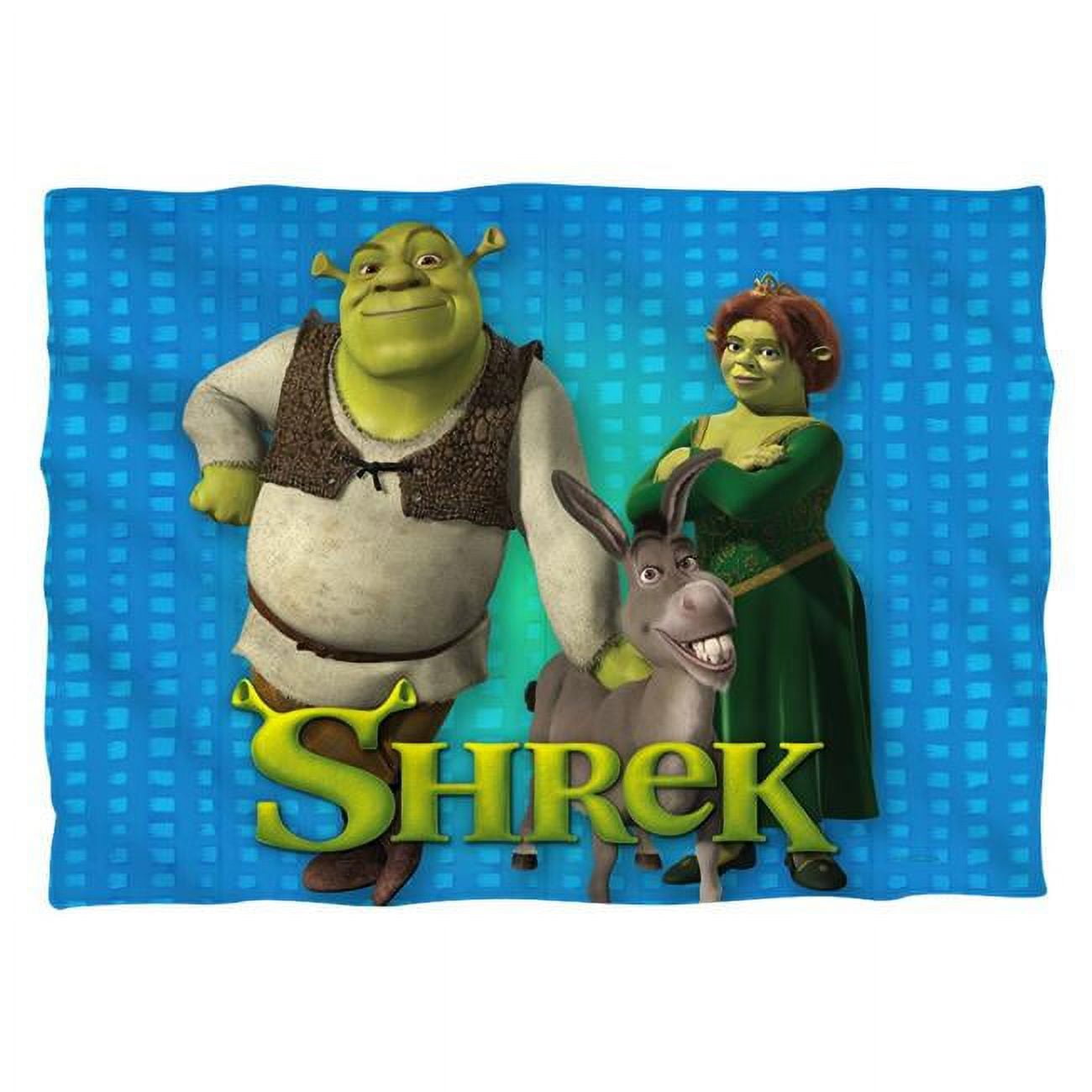 Trevco Shrek & Pals 100% Polyester Pillow Case, White, 20 x 28 in ...