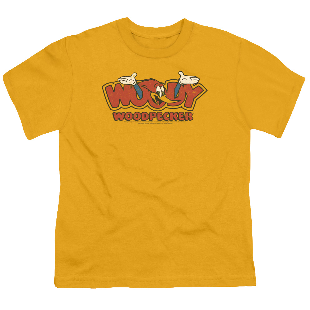 Trevco Sportswear UNI962-YT-3 Woody Woodpecker In Logo Youth Short ...