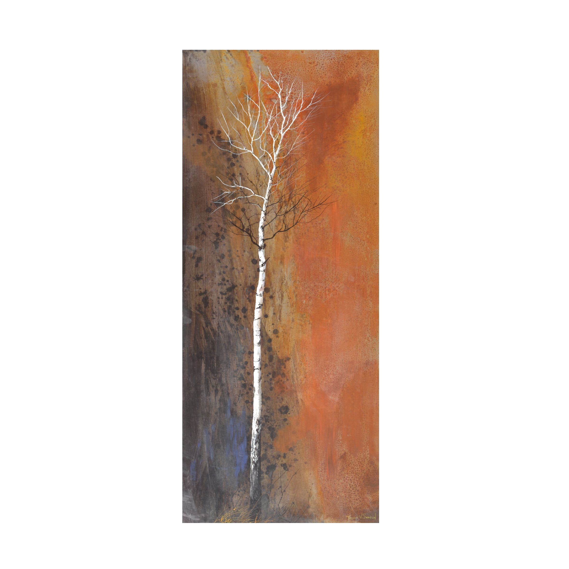 Trevor V. Swanson 'Canyon Ward' Canvas Art - Walmart.com