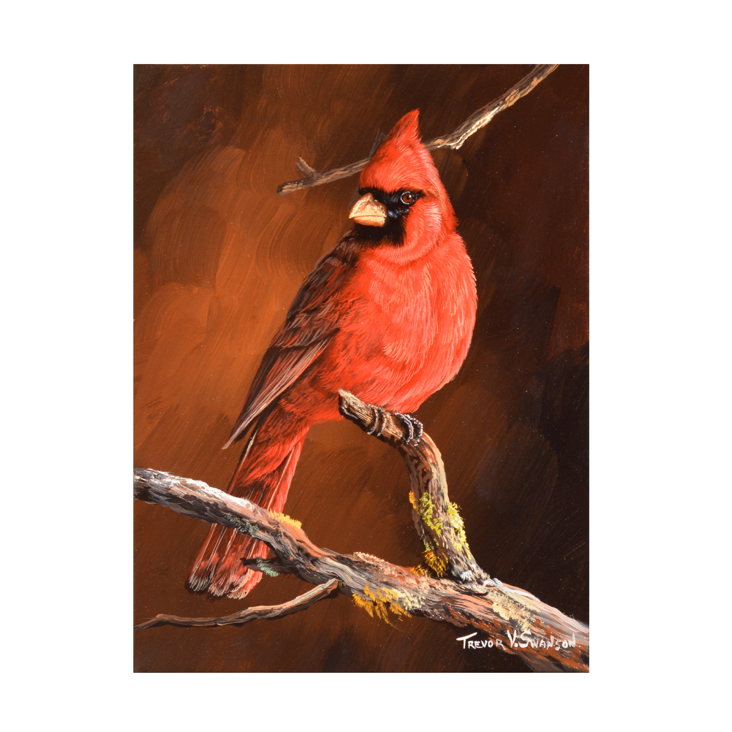 Trevor V. Swanson 'Winters Perch 1' Canvas Art - Walmart.com