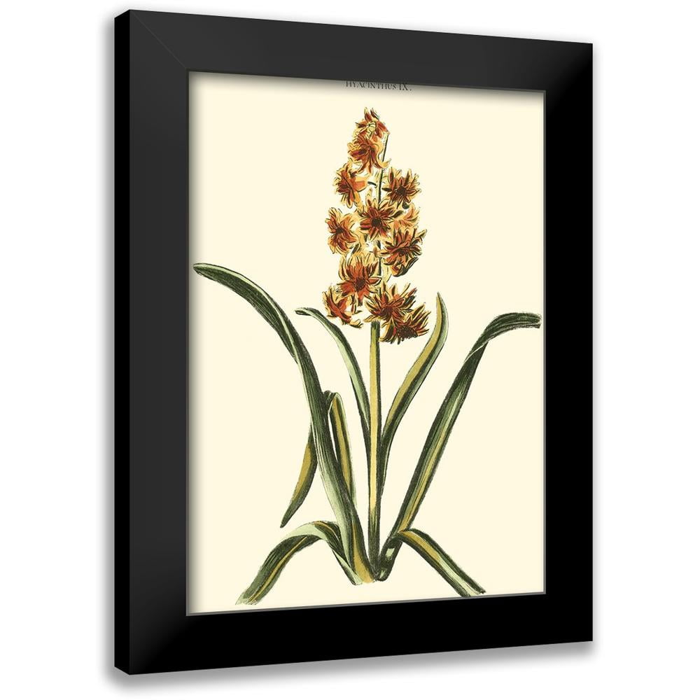 Trew, Christopher J. 11x14 Black Modern Framed Museum Art Print Titled ...