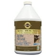 Trewax Professional Gold Label Sealer Wax for Floors, Gloss, 1-Gallon ...