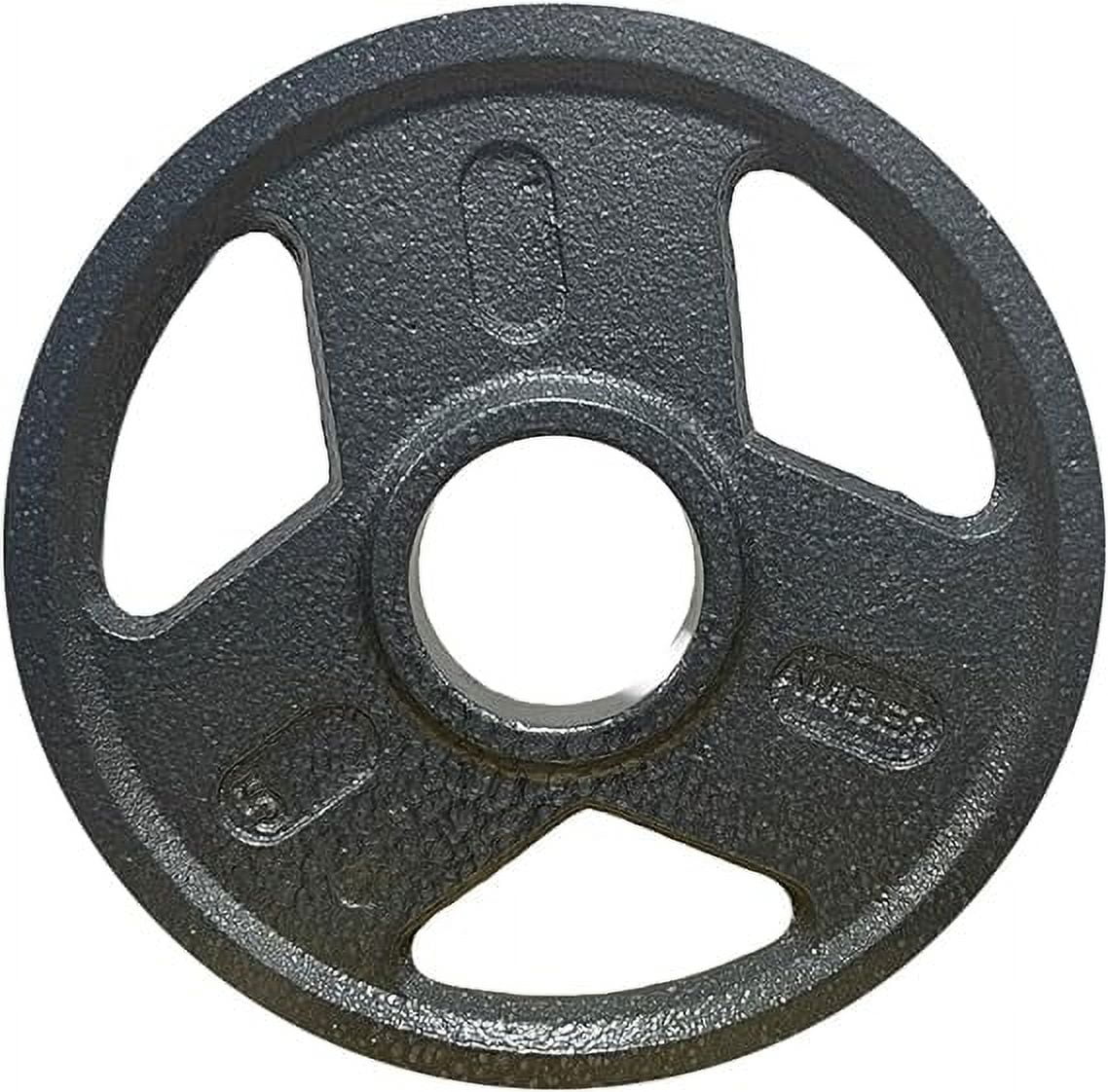 Tri-Grip Weight Plates Durable Cast Iron for Versatile Strength ...