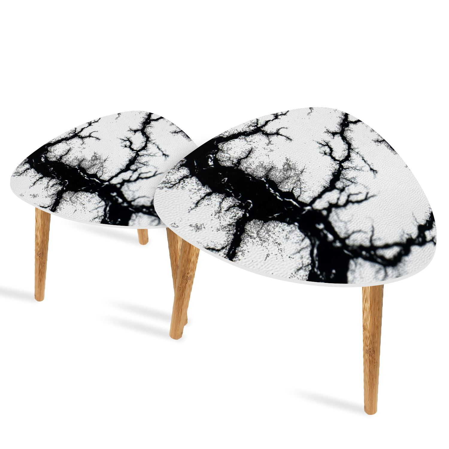Triangle End Tables Set of 2 Abstract Black White Art Print Microscopic ...