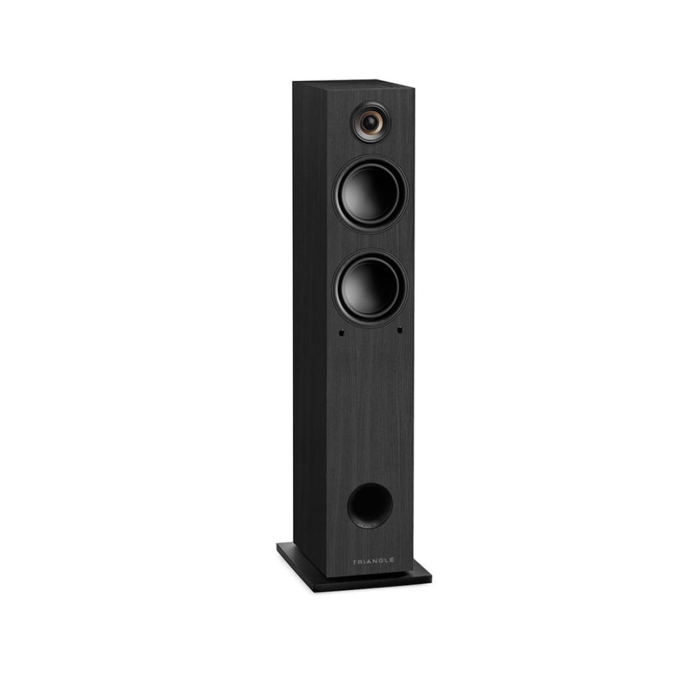 Triangle LN05A Bluetooth Floor Standing Speakers with 2x80W Amp and ...
