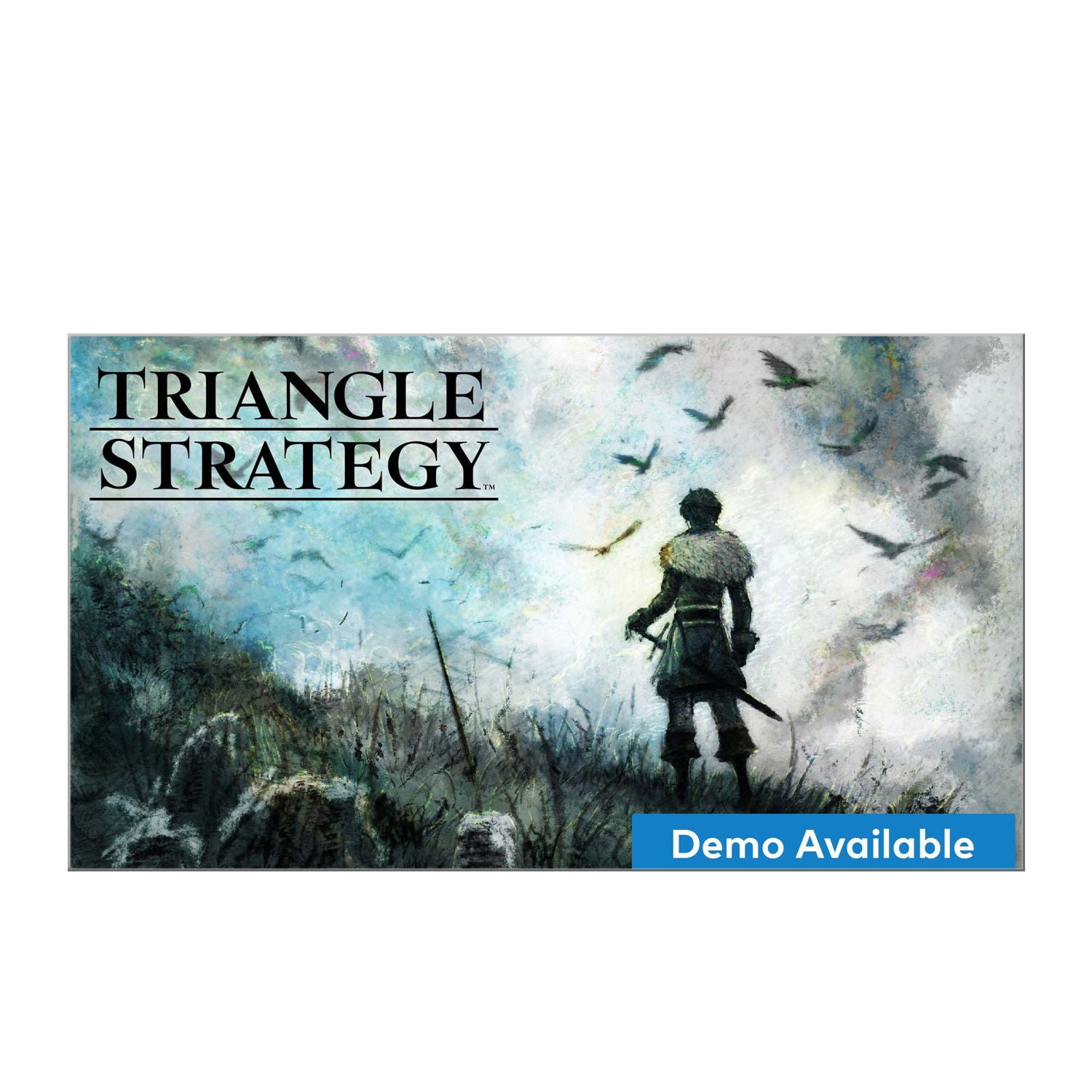 Triangle Strategy - Nintendo Switch - Walmart.com