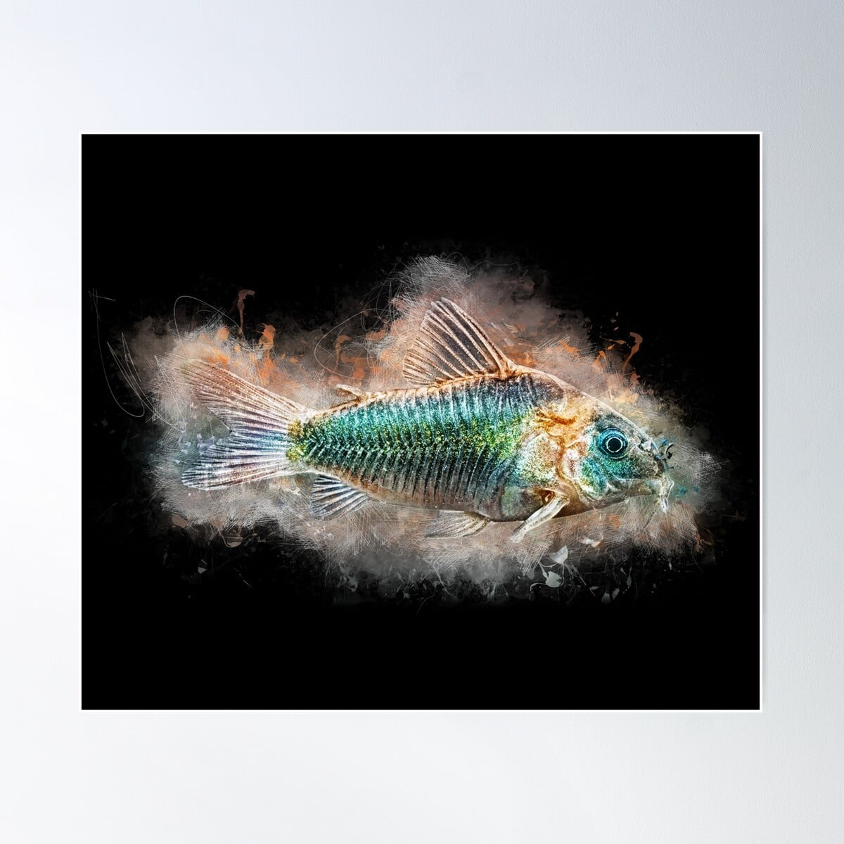 Triangular Armored Catfish - Corydoras Eques Poster Wall Art, Modern ...