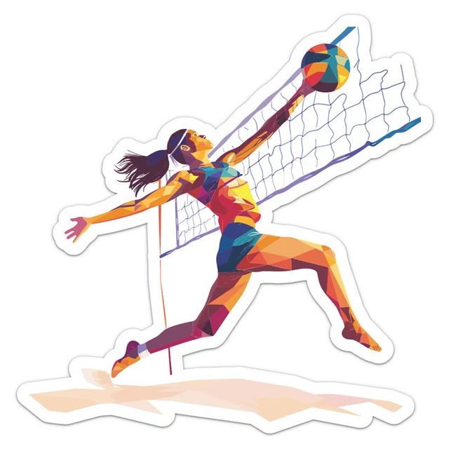 Triangulated Beach Volleyball Sticker Phone Decal Water Bottle Stickers ...