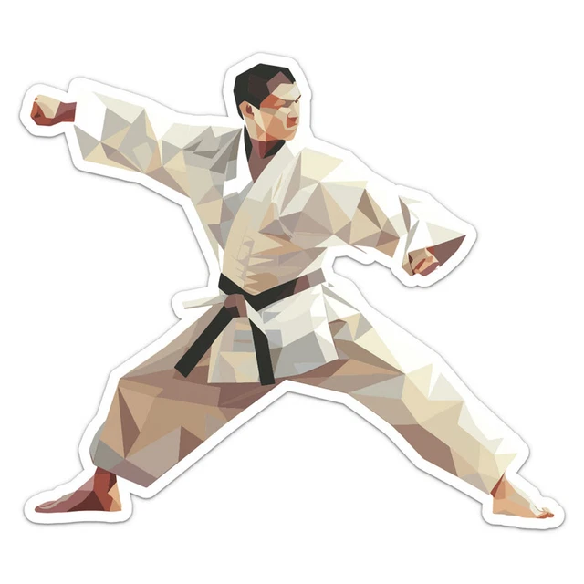 Triangulated Judo Sticker Phone Decal Water Bottle Stickers Car Decals ...