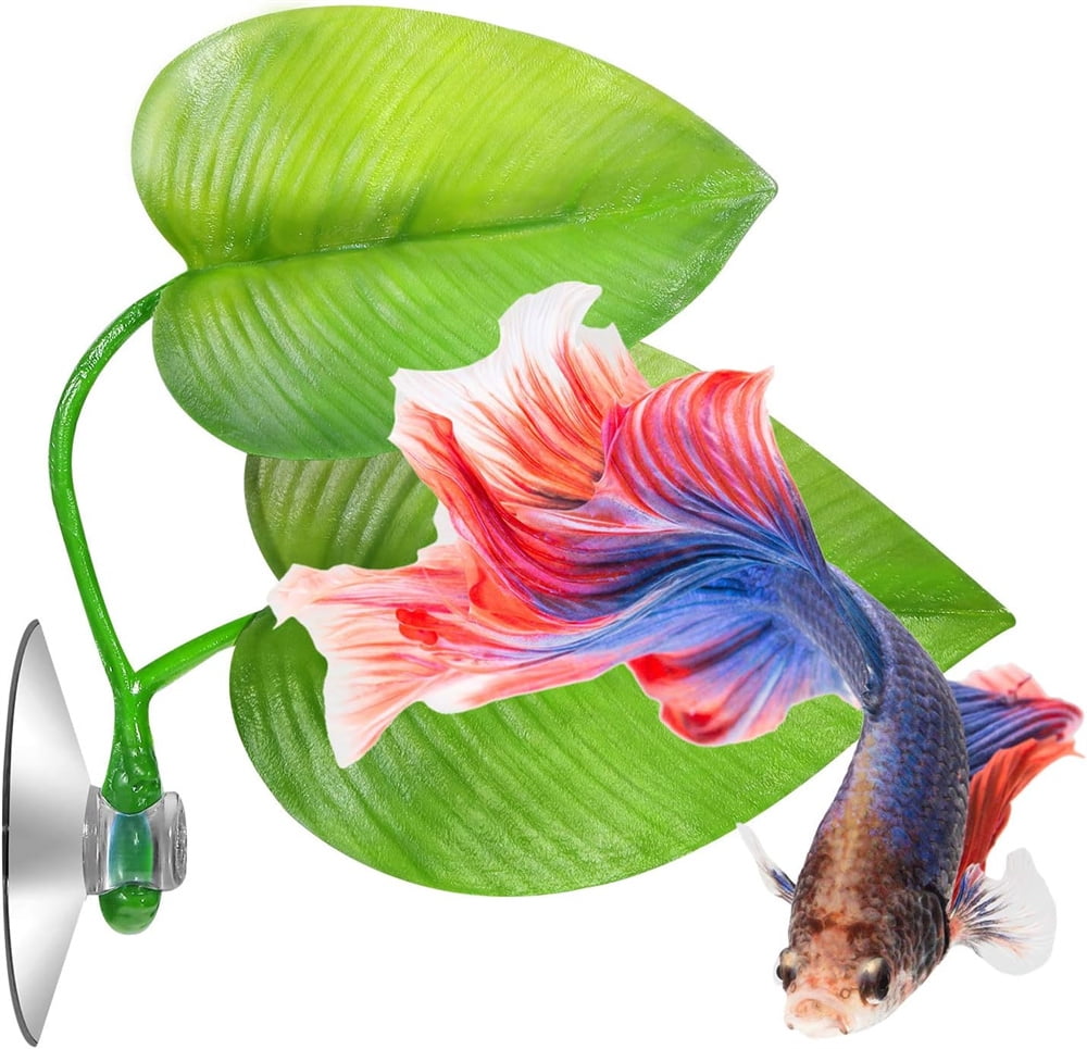 Triani 1Pcs Betta Fish Leaf Pad Twin Leaf Design with Suction Cup ...