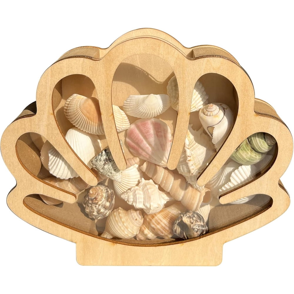 Triani 1Pcs Wooden Seashell Display Case with Acrylic Window Display ...