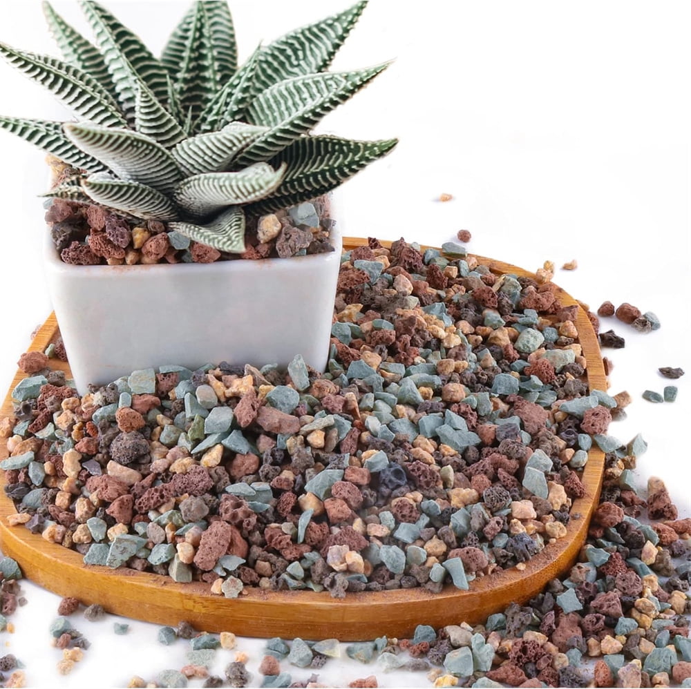 Triani 2.2 lbs Horticultural Succulent Granule Soil Mix 5-8mm Pumice ...