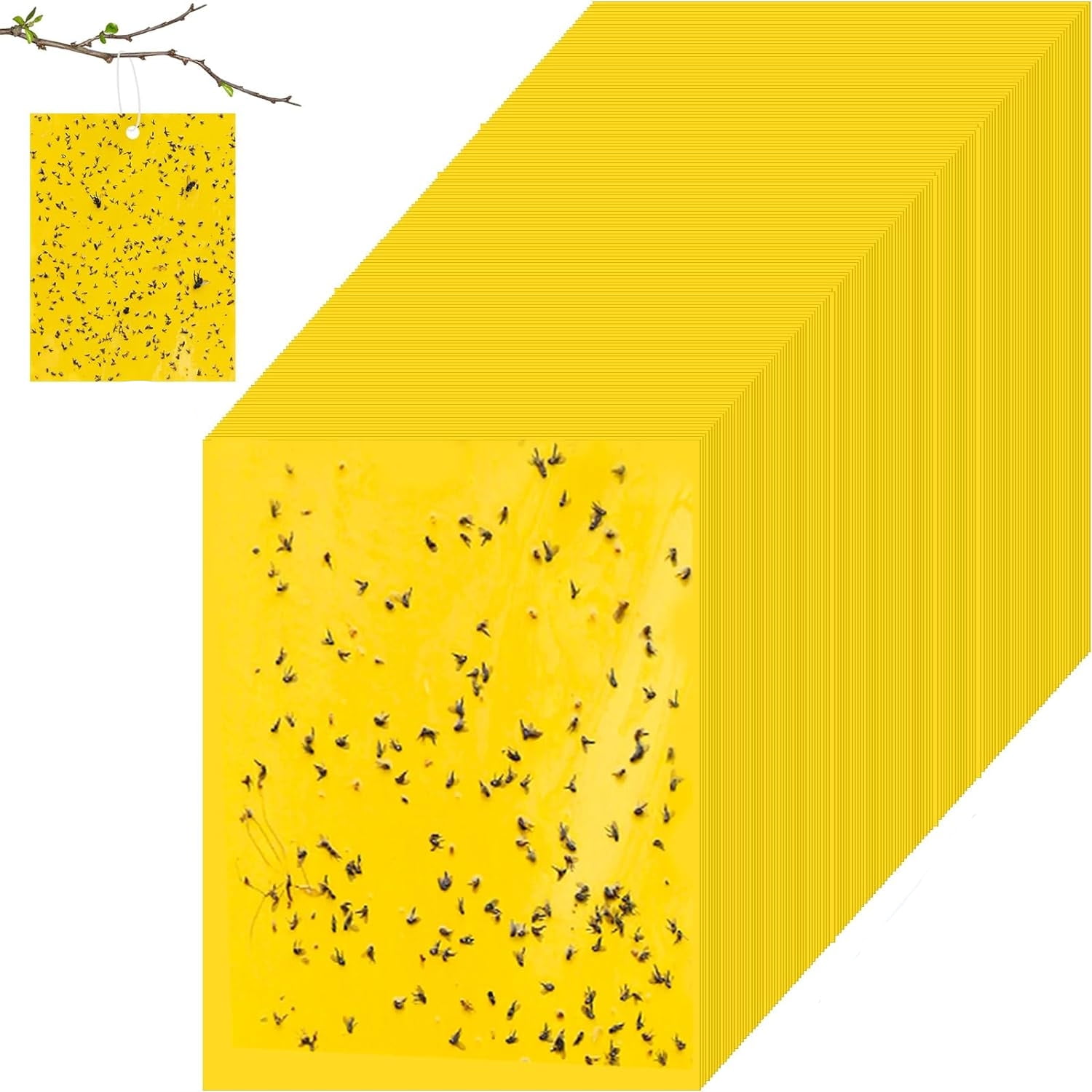 Triani 20-Pack Double Sided Sticky Traps for Flying Plant Insect Like ...
