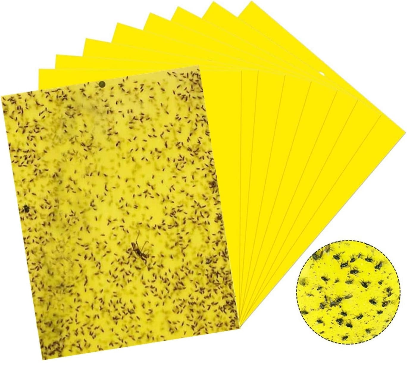 Triani 20 Pack Yellow Plates, Yellow Stickers, Sticky ,Fly Trap, Trap ...