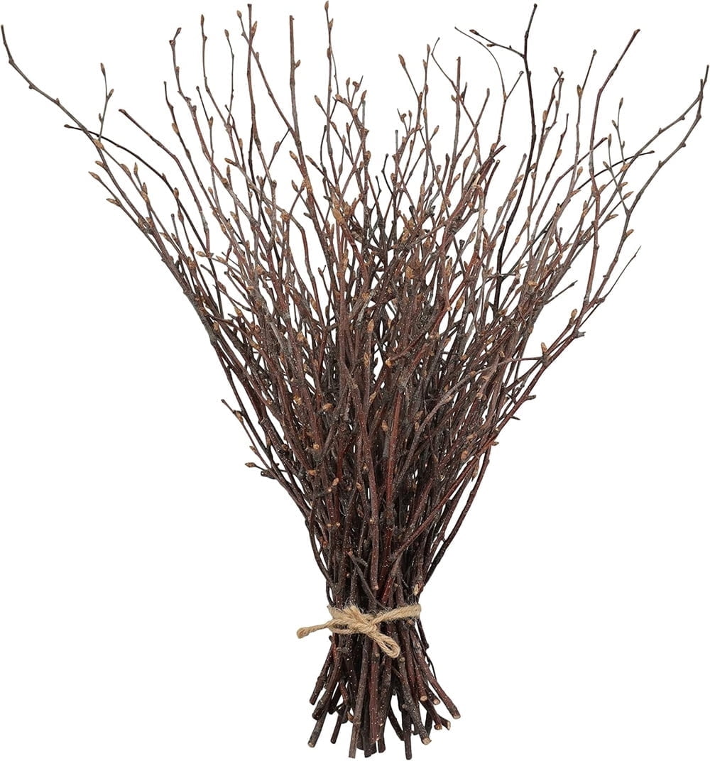 Triani 20Pcs Natural Birch Twigs Branches 19.6" Dried Plants Decorative ...