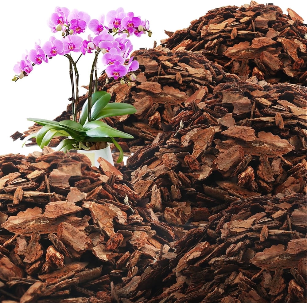 Triani 300g Orchid Bark Planting Soil Natural Orchid Bark Potting Mix ...