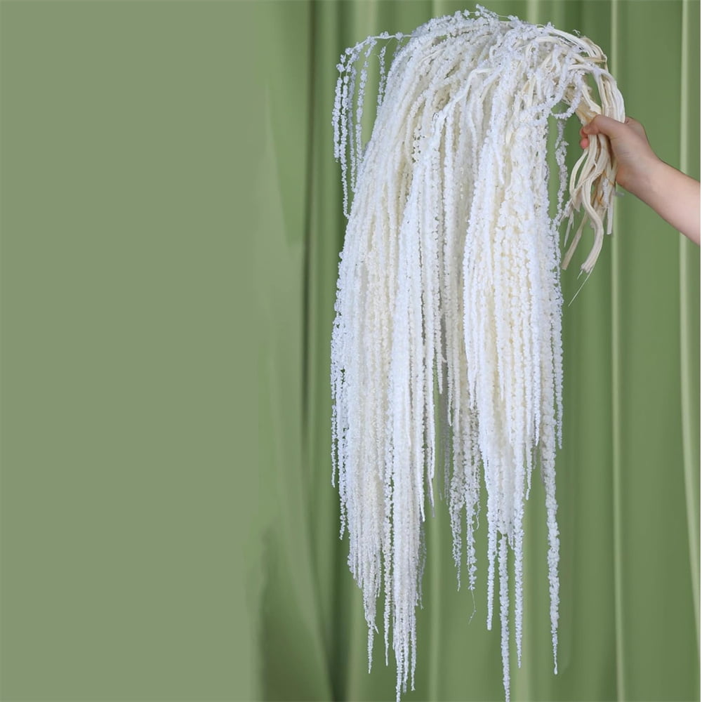 Triani 5Pcs Amaranthus Flower 16-28 Inch White Preserved Amaranthus ...