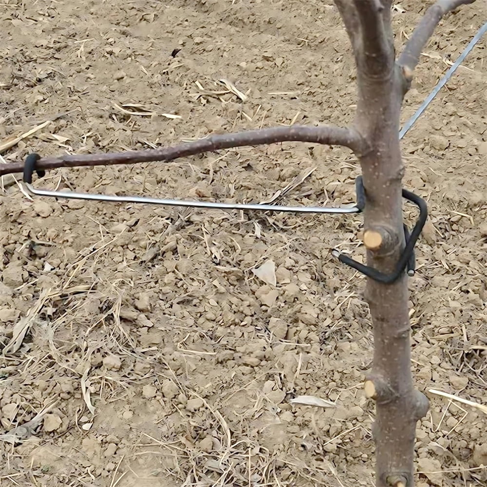 Triani 5Pcs Fruit Tree Branch Spreader 10.23" Fruit Branch Spreader ...