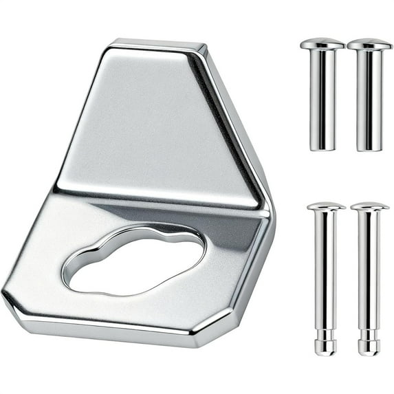 Triani 5Pcs Screen Door Closer Repair Kit Include 1 Iron Sheet and 4 Replacement Pins Storm Door ...