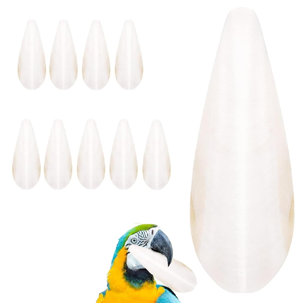 Triani 8Pcs Bird Cuttlebone Chewing Bird Toys for Parakeets 4.75 ...