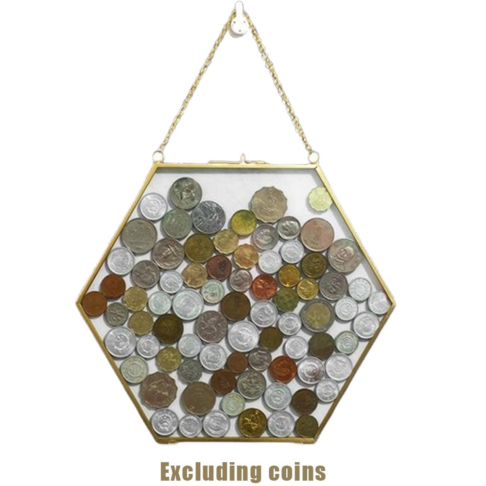 Triani Coin Display Stand with Gold Border Wall Hanging Coins Display ...